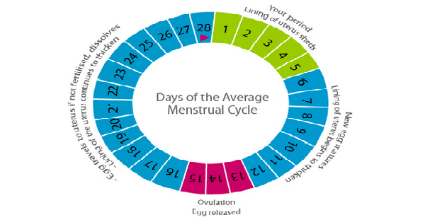 ARDMS Exam Review Questions: Quiz 665 - StudyPK