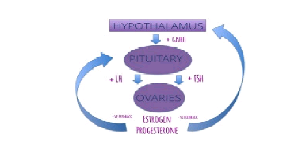 ARDMS Exam Review Questions: Quiz 704 - StudyPK