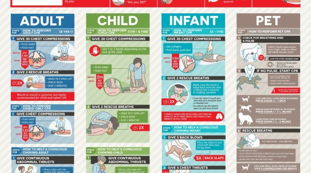 Cpr Guidelines 2019 Cheat Sheet