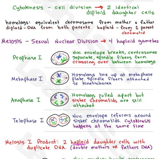 StudyPK - Page 38 of 59 - We Connect You With Education